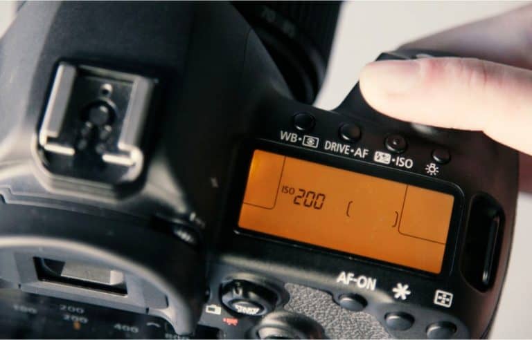 What is ISO in Photography | Digital Sensitivity Explained