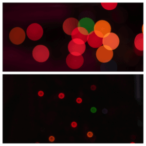 What is Bokeh in Photography [Bokeh Effect Explained]